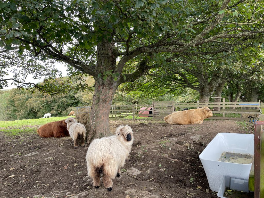 Visit Us - Geise Farm