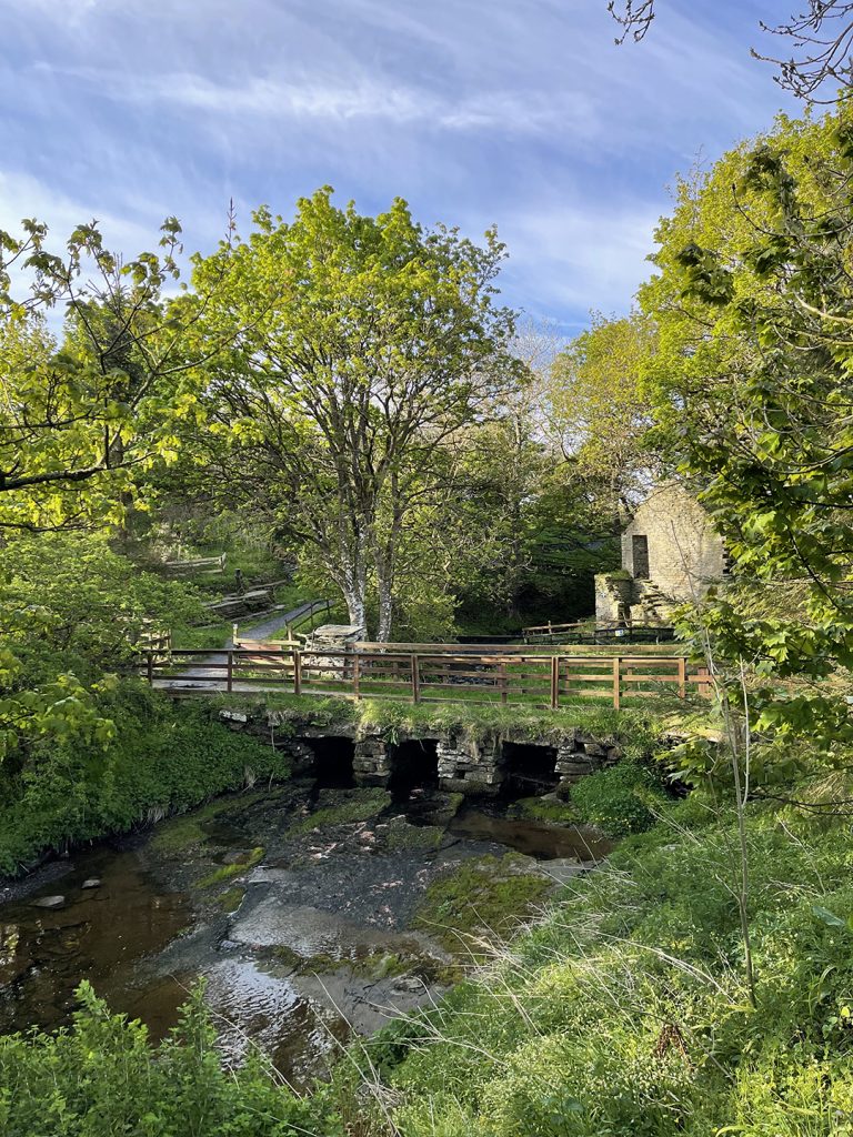 Visit Us - Geise Farm